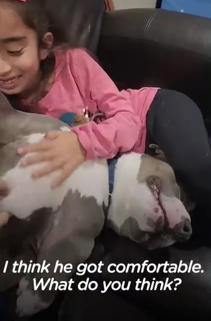 He Was So Hungry He Ate a Sippy Cup — Now He’s a Little Girl’s Best ...