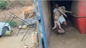 The Beauty Beneath the Burden: Why Alma Deserves Our Gaze, Not Our ...