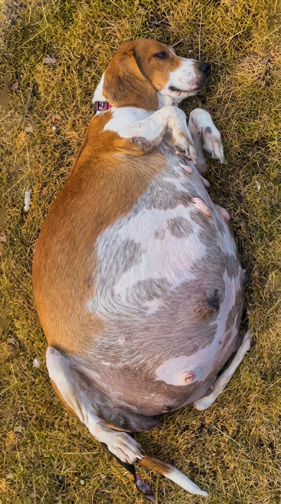 The Rope Around Her Neck Was Tight — But the Love She Found Was ...